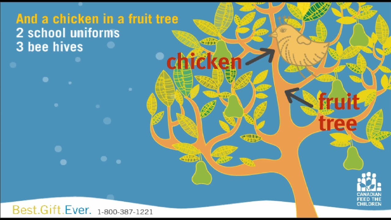 Give a Chicken in a Fruit Tree this Holiday Season! - YouTube
