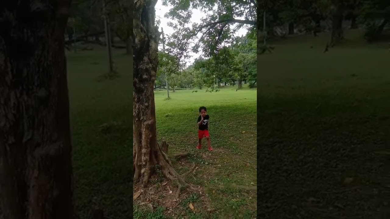 my little brother @little Zaroo shorts #viralshorts - YouTube