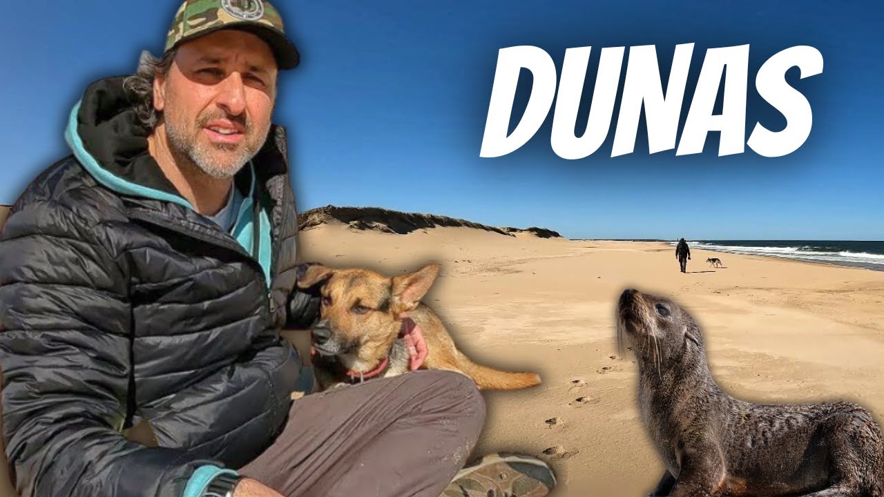 FOTOGRAFÍA de DUNAS en la Laguna de Rocha y Jose Ignacio | Uruguay ...