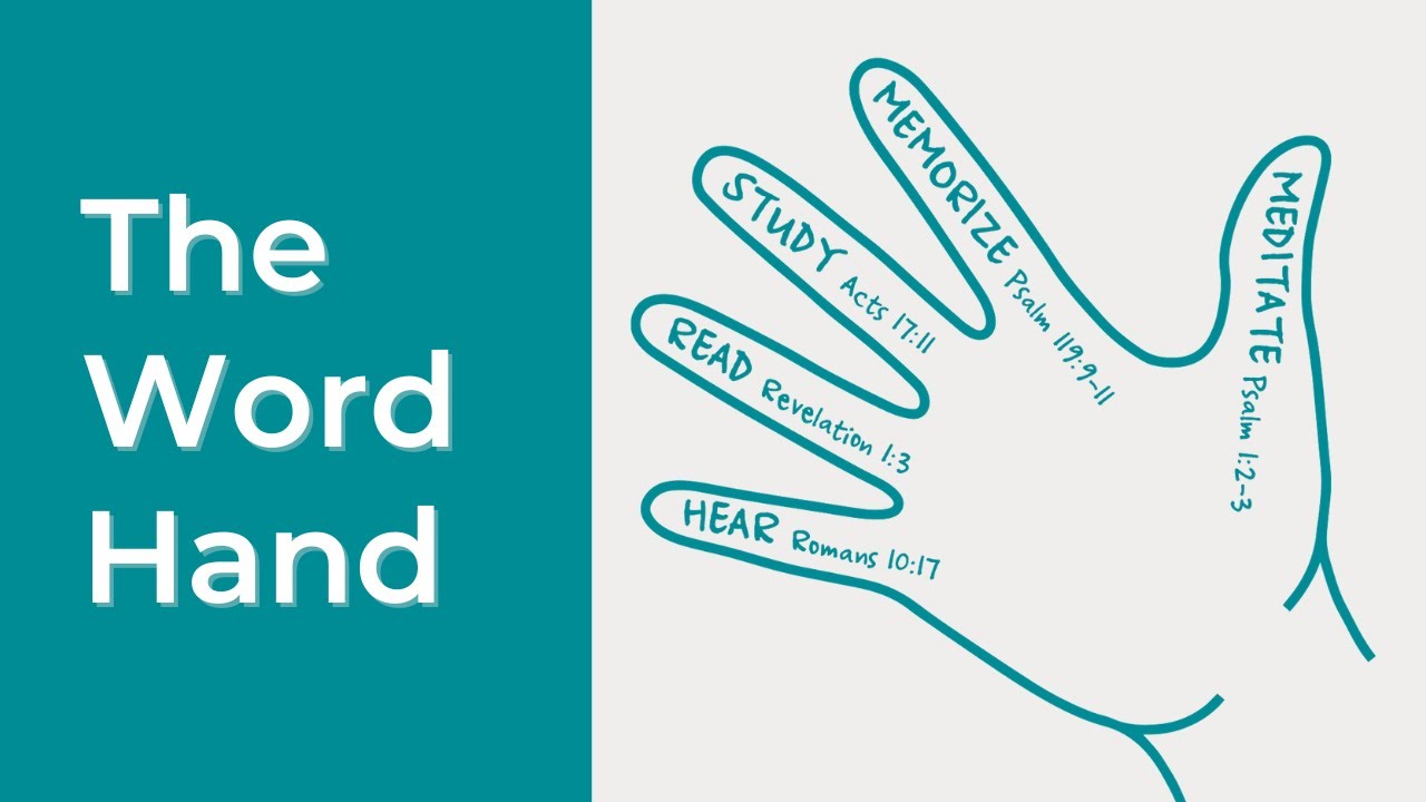 The Word Hand Illustration - YouTube