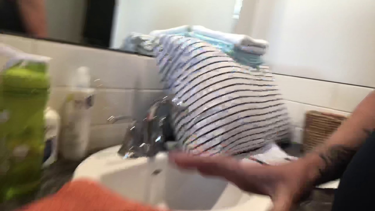 Collecting of stool specimen - YouTube