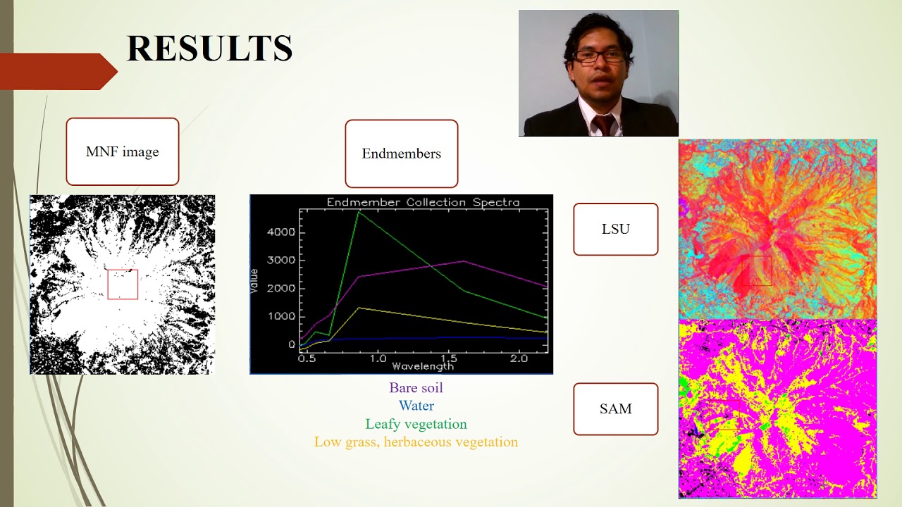 Pixel purity index applied to the mapping of soil degradation by the ...