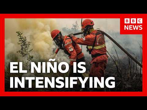 How we can tell ‘Godzilla’ El Niño has started | BBC News