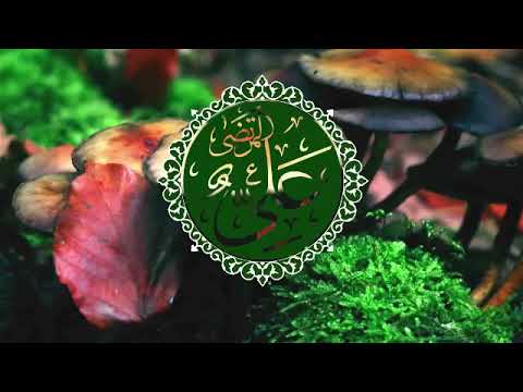 Jaanam Fida-e-Haideri | 2018 | Official HD Kalam  | ft Sadiq Hussain (by Music Event)