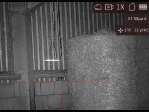 Air Rifle Pest Control AGT Vixen and HIK Cheetah LRF - Rats and Grey ...