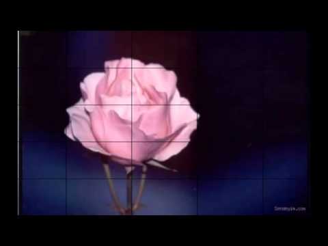 Baris Manco Gül Pembe 2014 remix