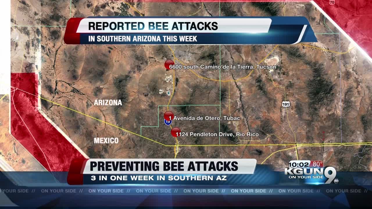 Three reported bee attacks in southern Arizona this week - YouTube