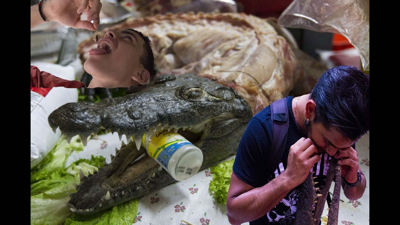 Probando CARNE DE LEON Y COCODRILO!! - YouTube