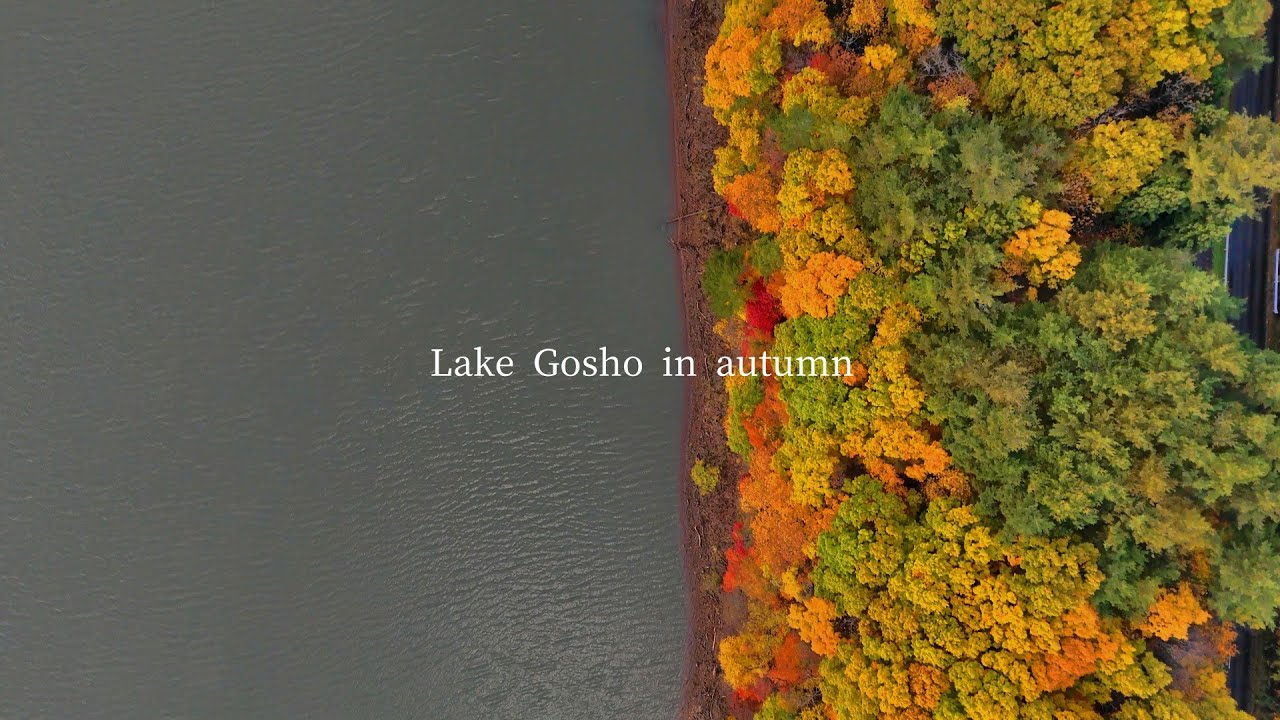 Lake Gosho in Autumn 2025／ドローン空撮 】shizukuishi,IWATE,Japan - YouTube