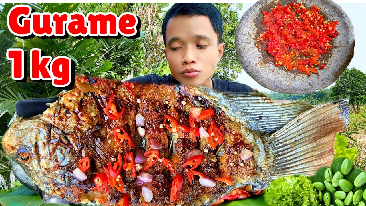 GAK NGOTAK‼️MUKBANG 1 KG IKAN GURAME PEDAS PECAK JENGKOL PEDAS SAMBAL TERASI PETE LALAPAN MENTAH ...