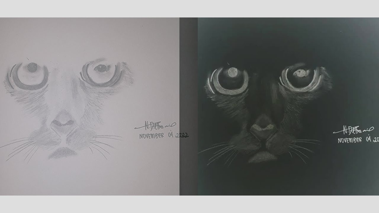 Drawing practice- Inverted Sketch Drawing using 6B Colleen - YouTube