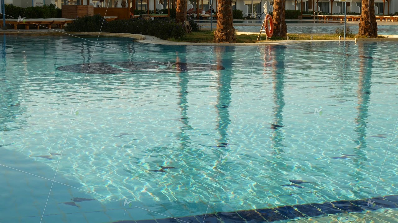 Transparent fresh water in swimming pool - YouTube