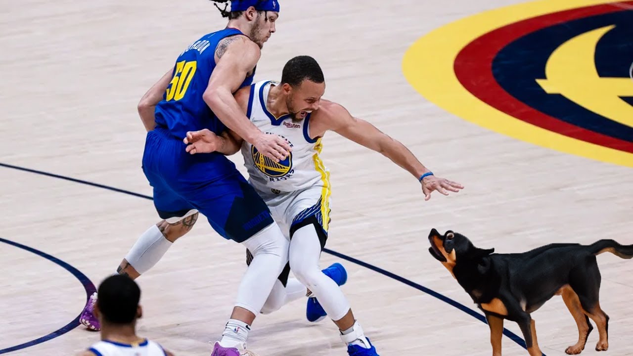 DOG runs onto NBA court MID GAME! - YouTube
