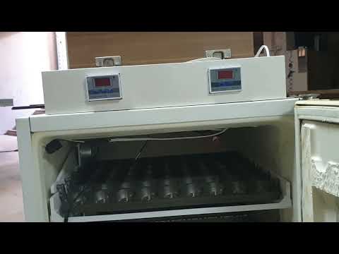 kuluçka makinesi yapımı %100 çıkım aldım