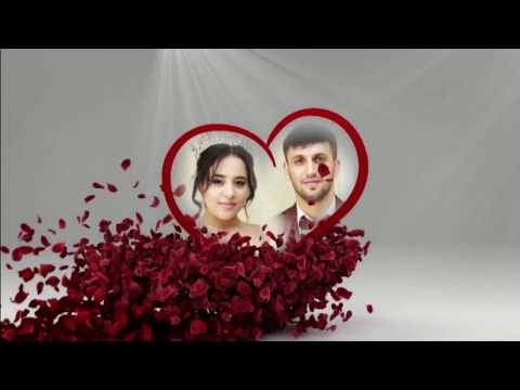 Исахан Диана HD 1