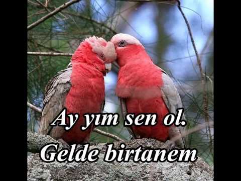 senin bu canım biTaneM