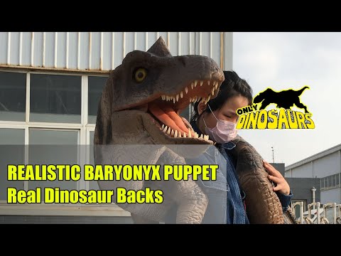 Realistic Baryonyx Puppet - YouTube