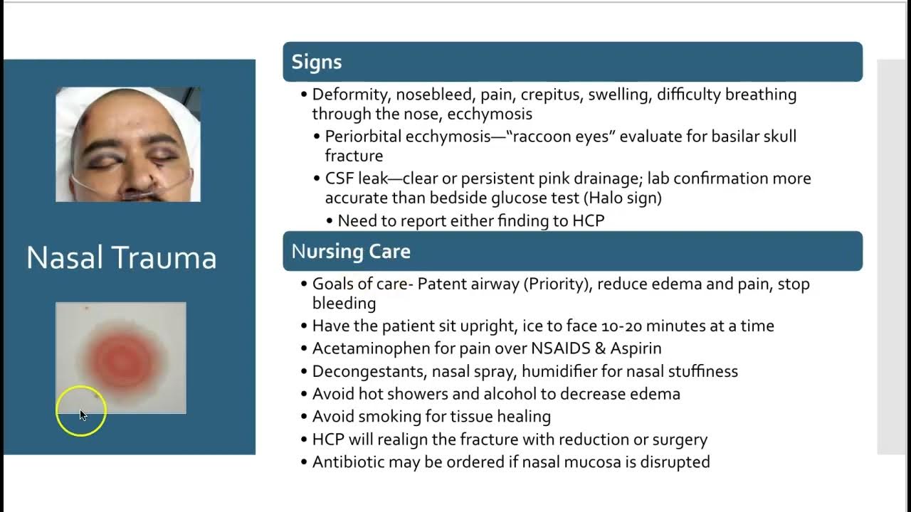 Module 6 Part 1 - YouTube