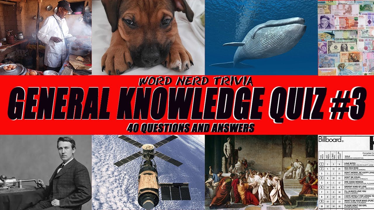Test your general knowledge with our trivia quiz #3 - 40 Multiple ...