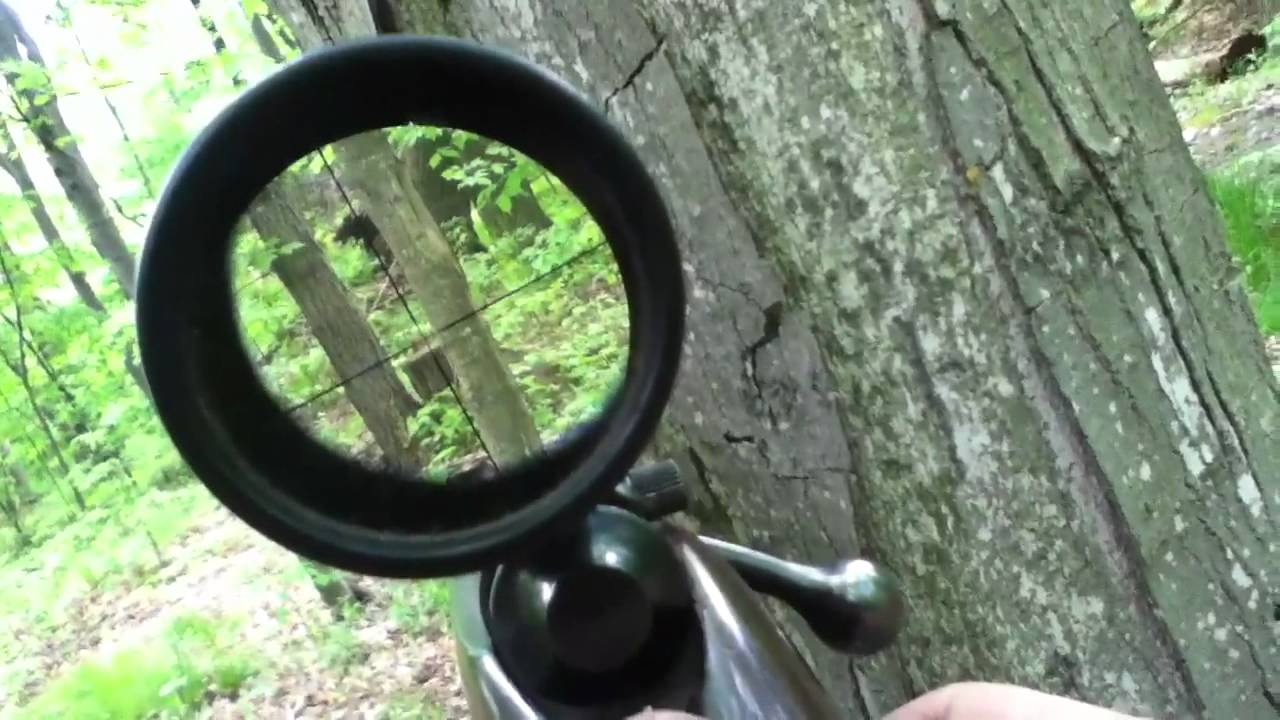Chipmunk hunting with scope cam kill!!! - YouTube