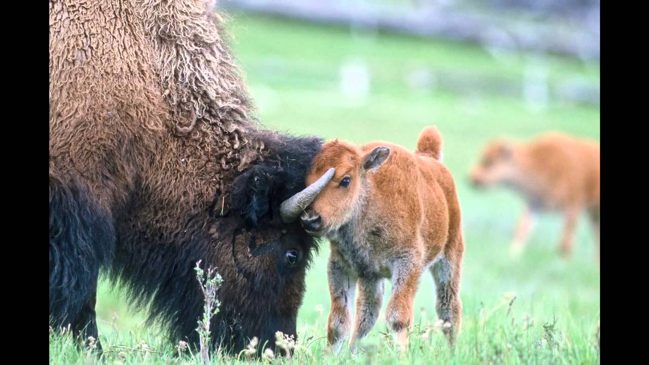 Tom Murphy - Artist Talk @ Lumiere - YouTube