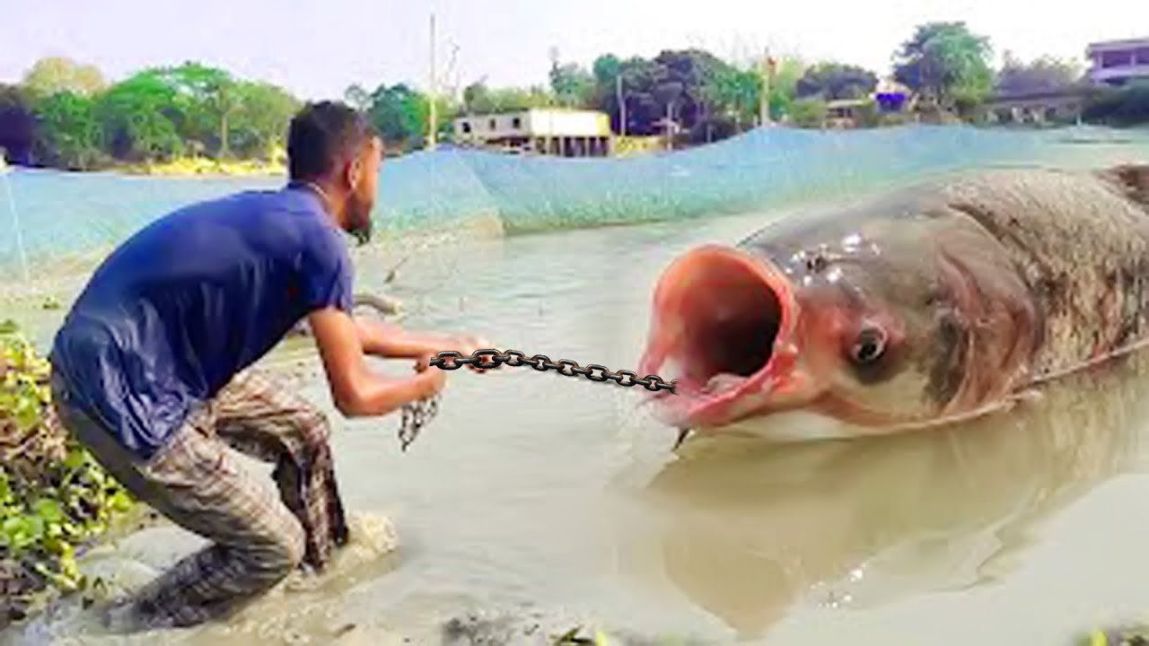 Amazing Unbelievable Fishing Method In Underwater Monster Fish Catch ...