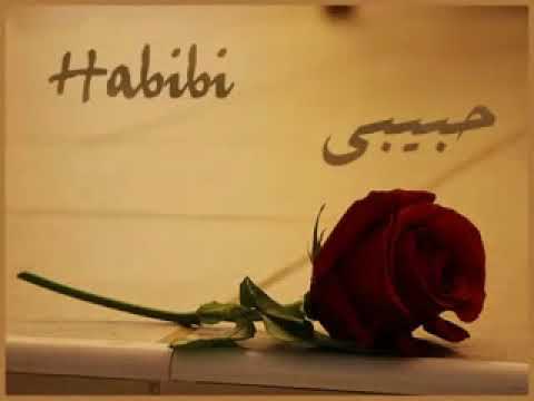 Hakim   Habibi   mi amor lyrics+letras+paroles حكيم   حبيبي