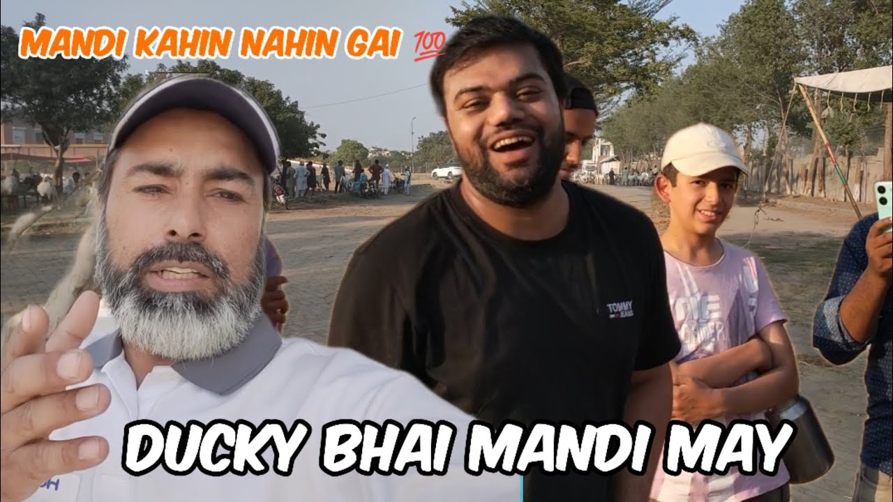 shapur kanjra mandi update | mandi may mall | ducky bhai mandi may ...