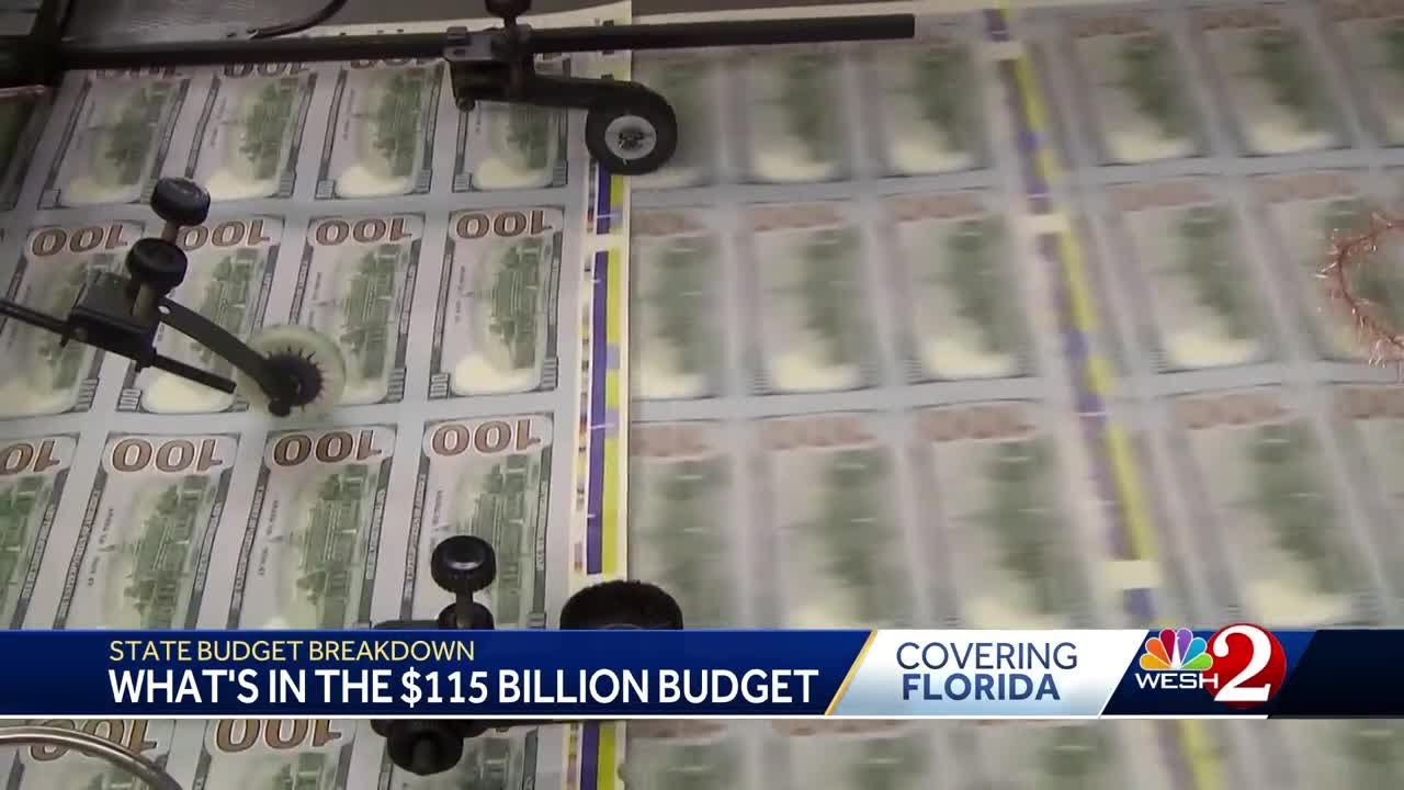 Florida's $115 billion state budget broken down - YouTube