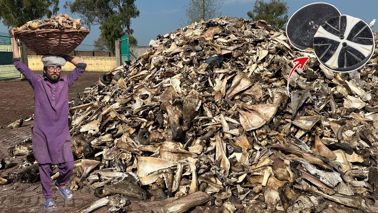 Unbelievable Recycling Process of Animal Bones to Make New Bone Buttons ...