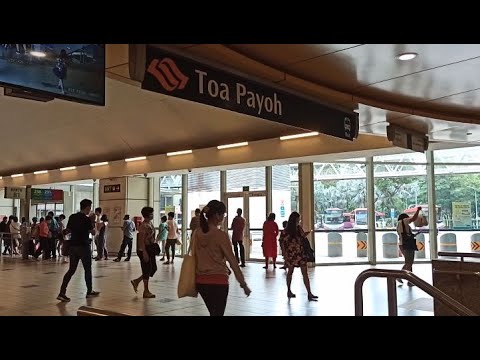 Bus trip to Toa Payoh | Toa Payoh bus interchange transport hub - YouTube