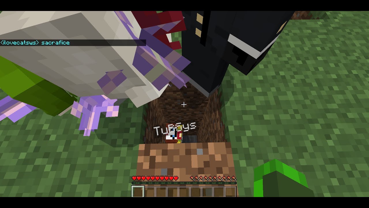 Minecraft With Morons - YouTube