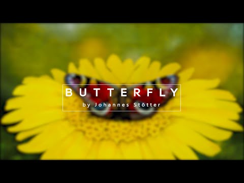 Bodypaint Illusion - Butterfly by Johannes Stötter