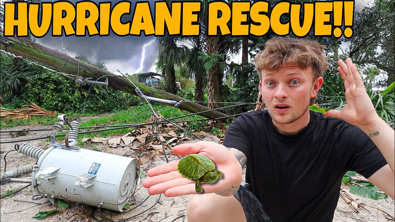 RESCUING BABY ANIMALS After HURRICANE MILTON!! - YouTube