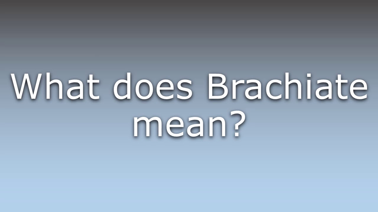 What does Brachiate mean? - YouTube