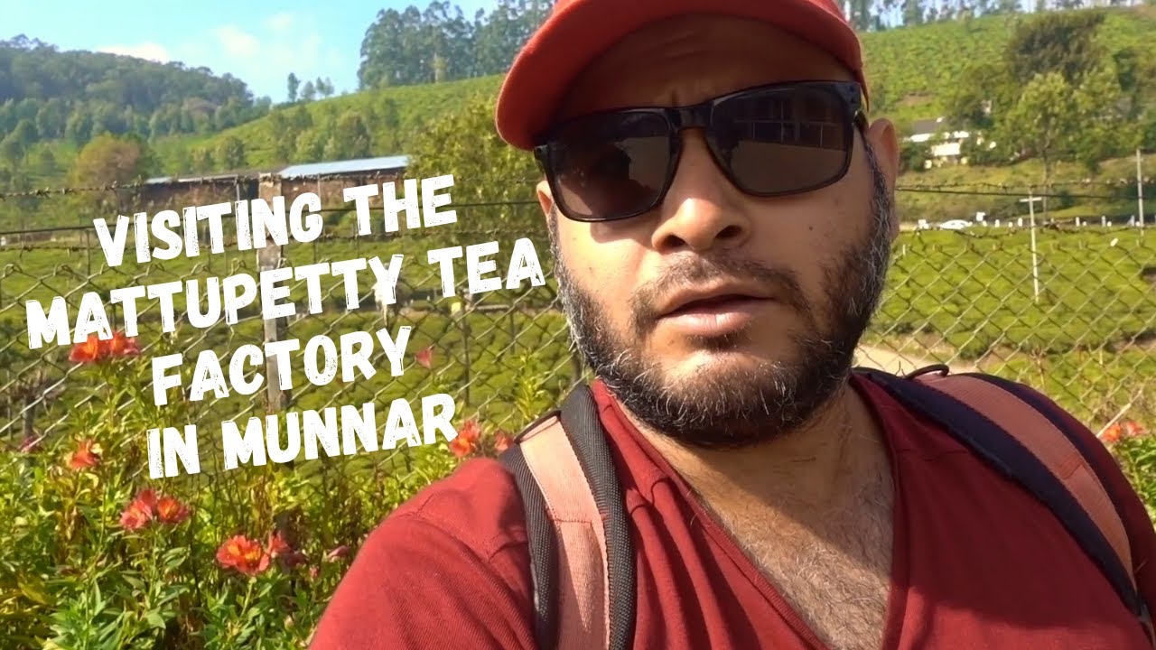 Visiting the Mattupetty tea factory in Munnar - Kerala Travel Vlog ...