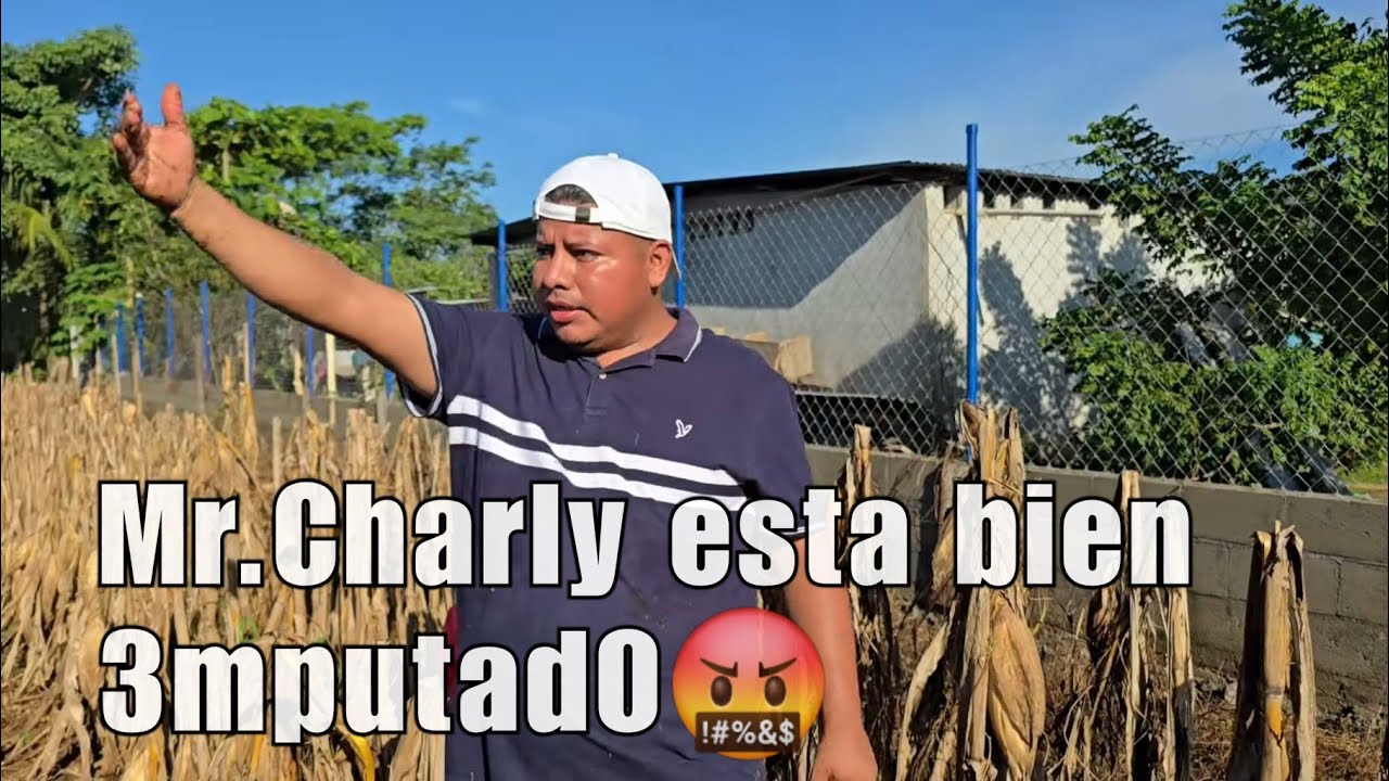 Mr.charly les Pel0 la cara a todos Mira porque😱 - YouTube