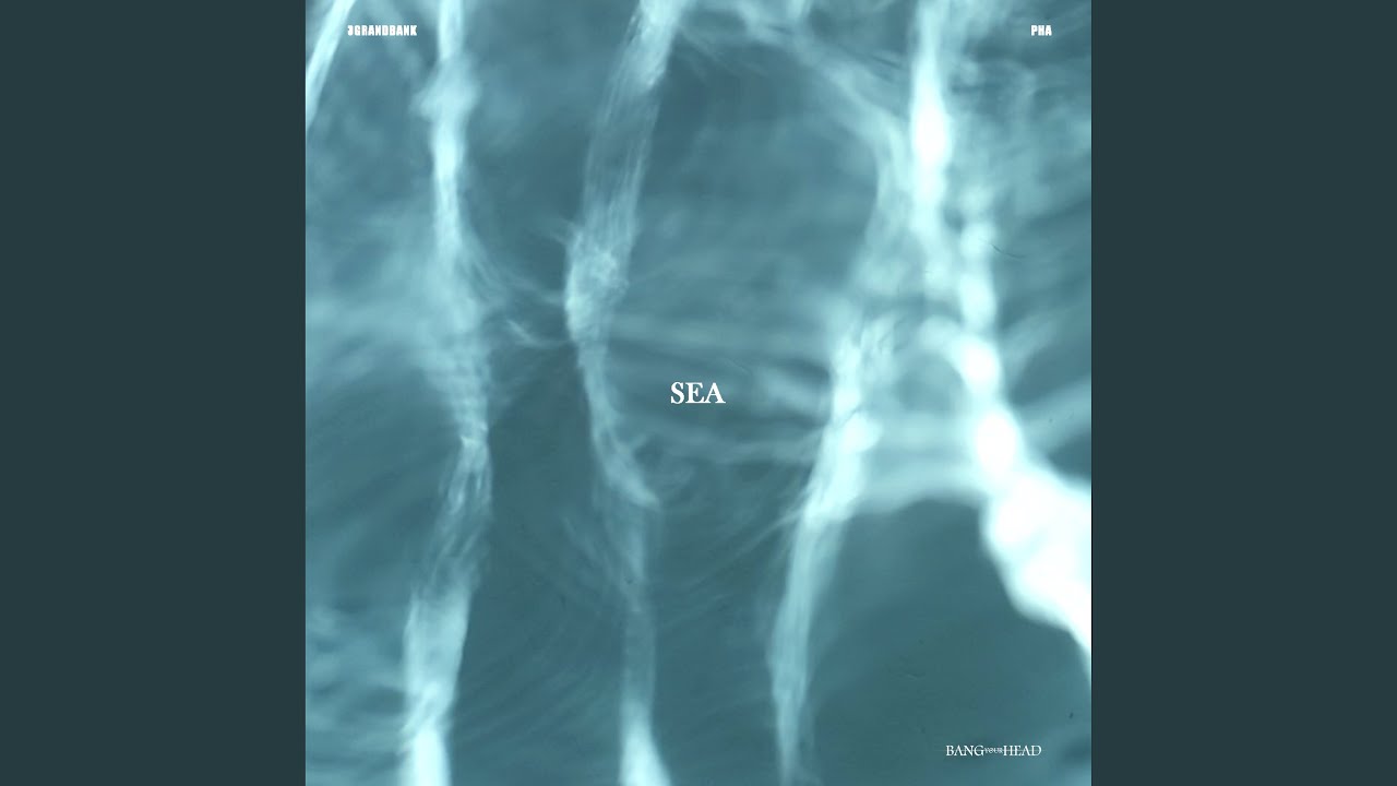 SEA - YouTube Music