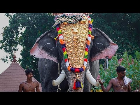 വെള്ളൂർകുന്നത്തപ്പനെ ശിരസിലേറ്റി ഈരാറ്റുപേട്ട അയ്യപ്പൻ 🙏 / Erattupetta ...