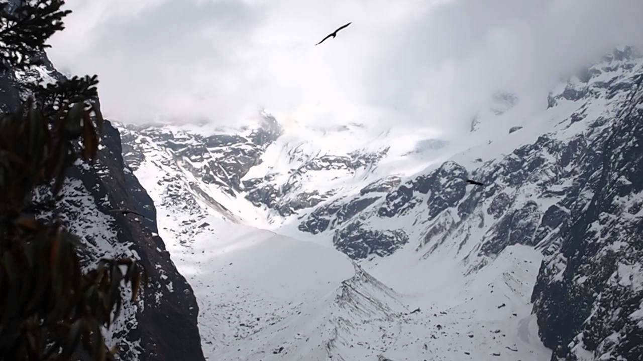 Everest Birds - YouTube