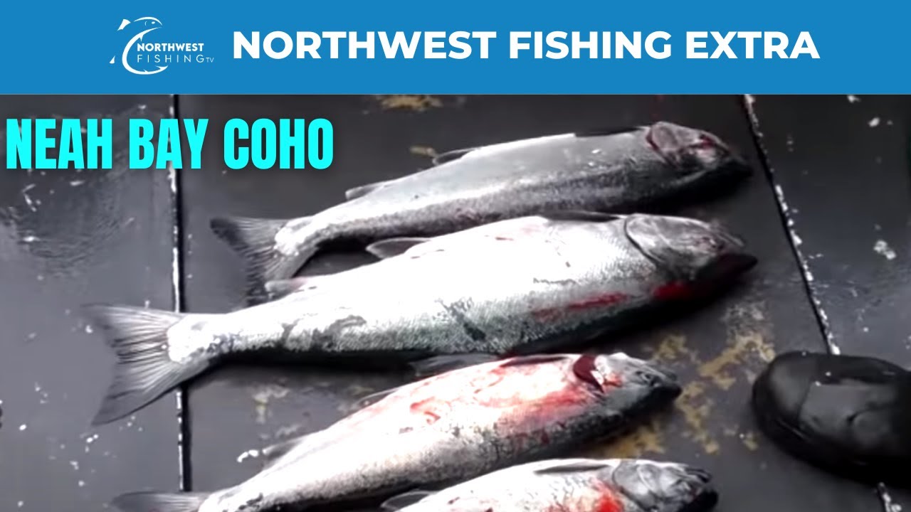 Saltwater Fishing for Coho in Neah Bay - Extended Cut - YouTube