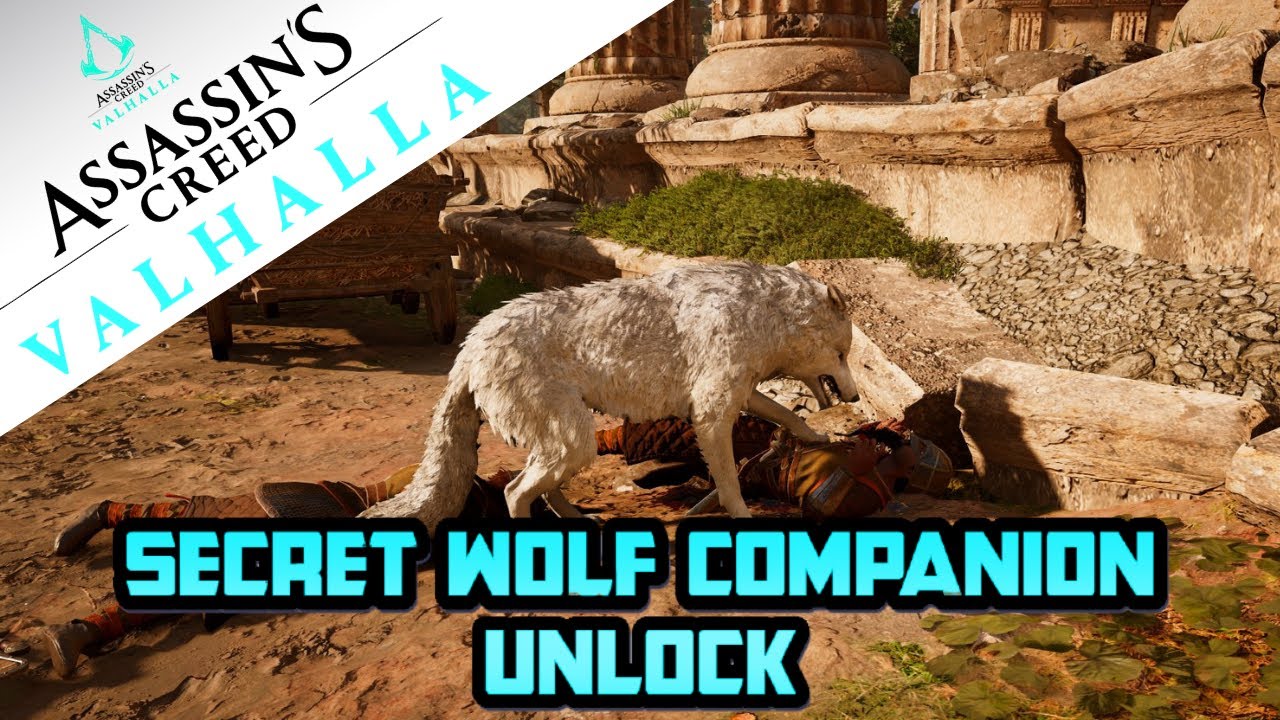 Assassins Creed Valhalla How To Get The Wolf - Unlock Companion - YouTube