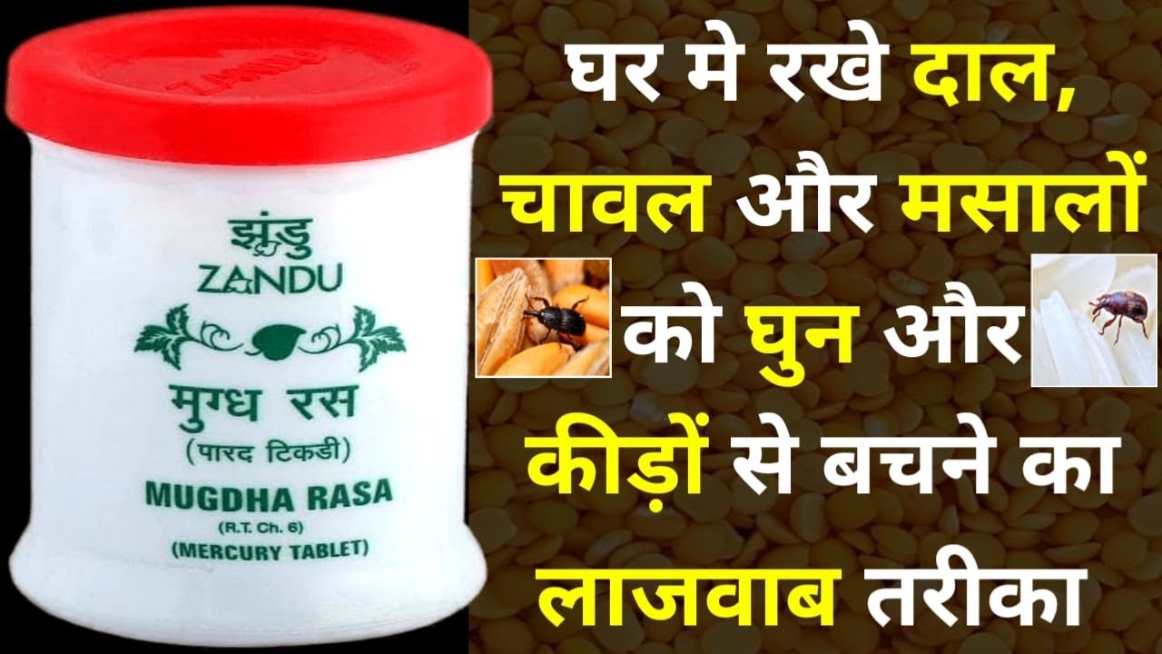 घर में रखे दाल और मसालों को घून और कीड़ों से बचाने के लिए करें इस दवा ...