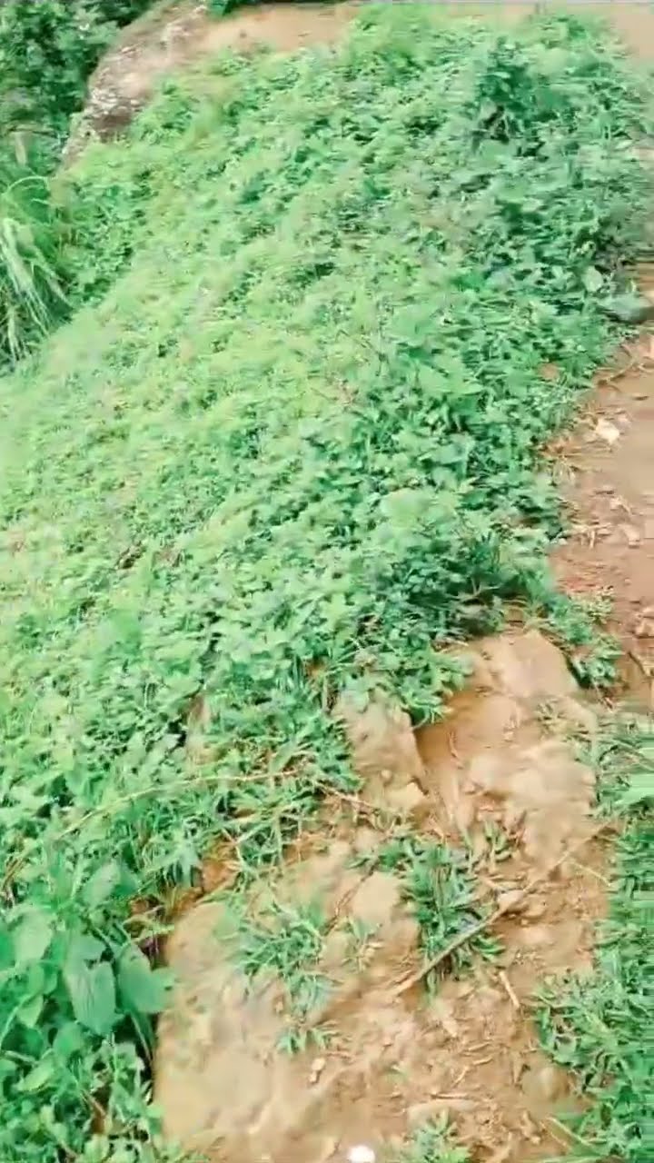പരുന്തും പാറ ഇടുക്കി Youtube
