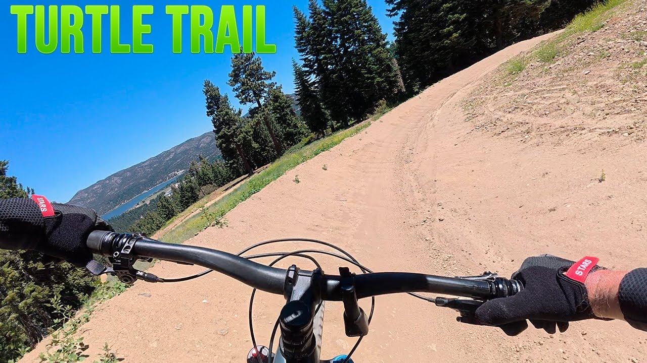 Turtle Trail - Snow Summit Bike Park - 7/2025 - YouTube