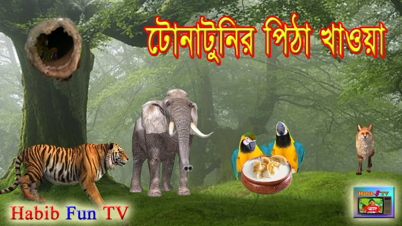 Tona Tunir Golpo || Tona Tuni || টোনা টুনির গল্প || টোনা টুনির পিঠা ...