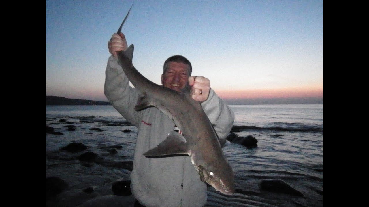 Smooth-Hound fishing in North Devon the Unseen Footage - YouTube