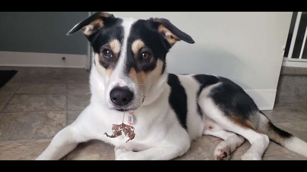 🤣🤣🤣 - YouTube