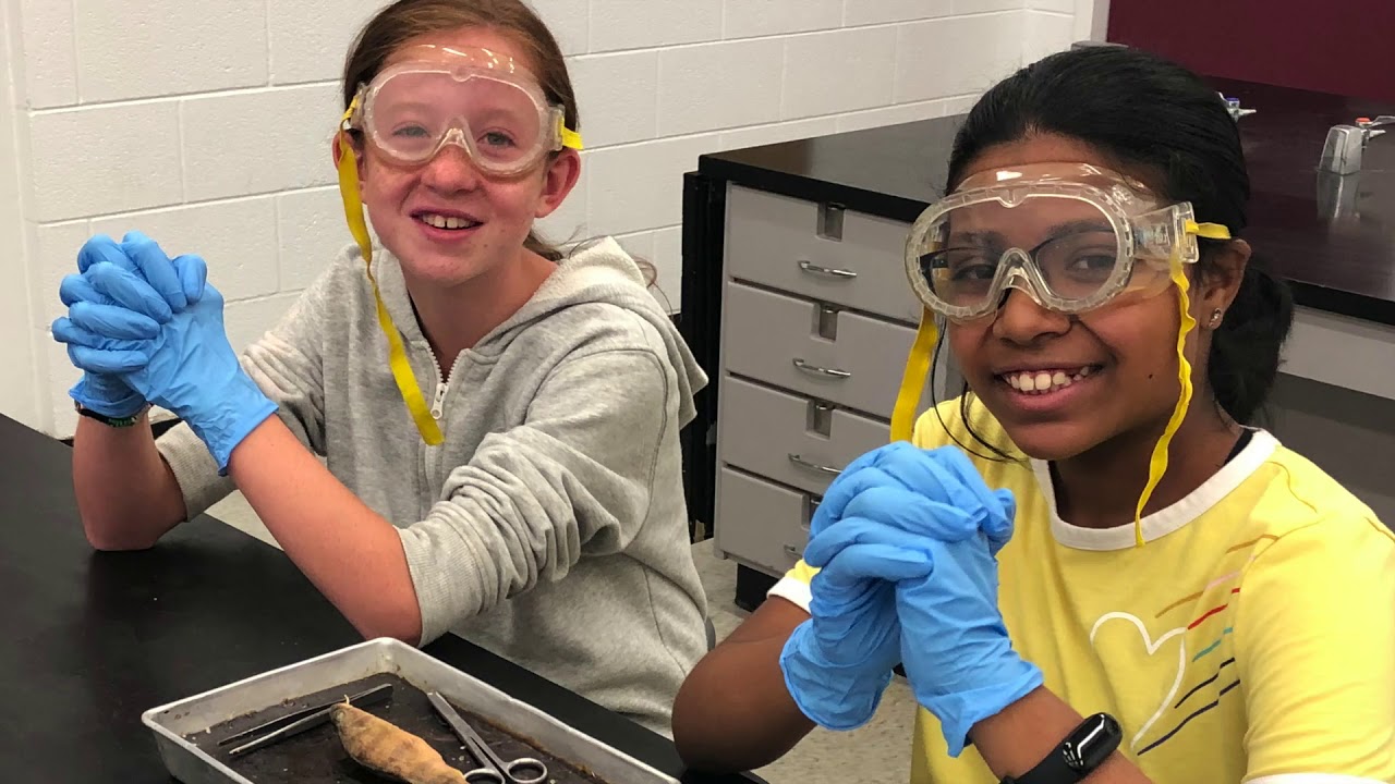 Mini University 2019: Session 7 - YouTube