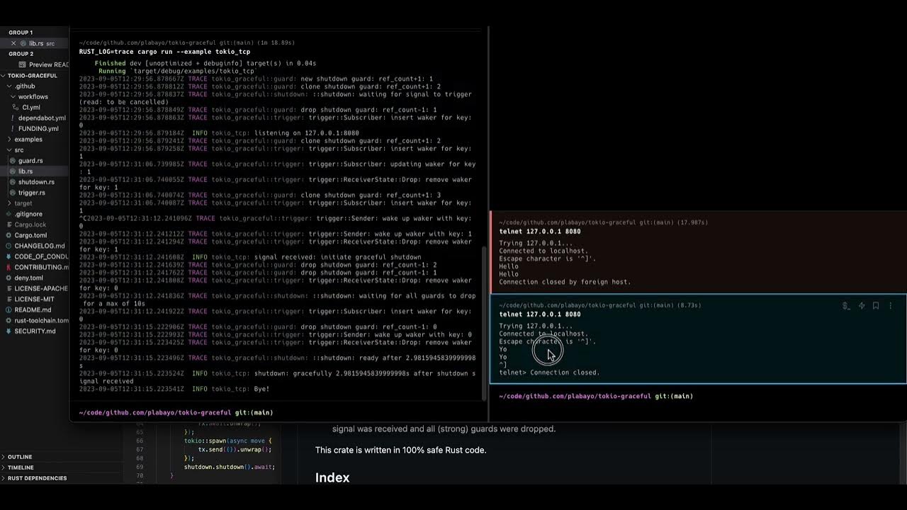 Rust 101 - Extra - Tokio Graceful and Atomics - YouTube